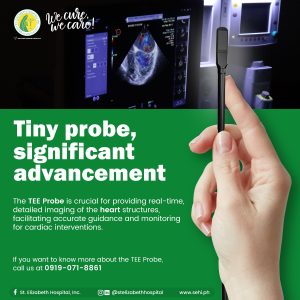 TEE Probe - St. Elizabeth Hospital, Inc.
